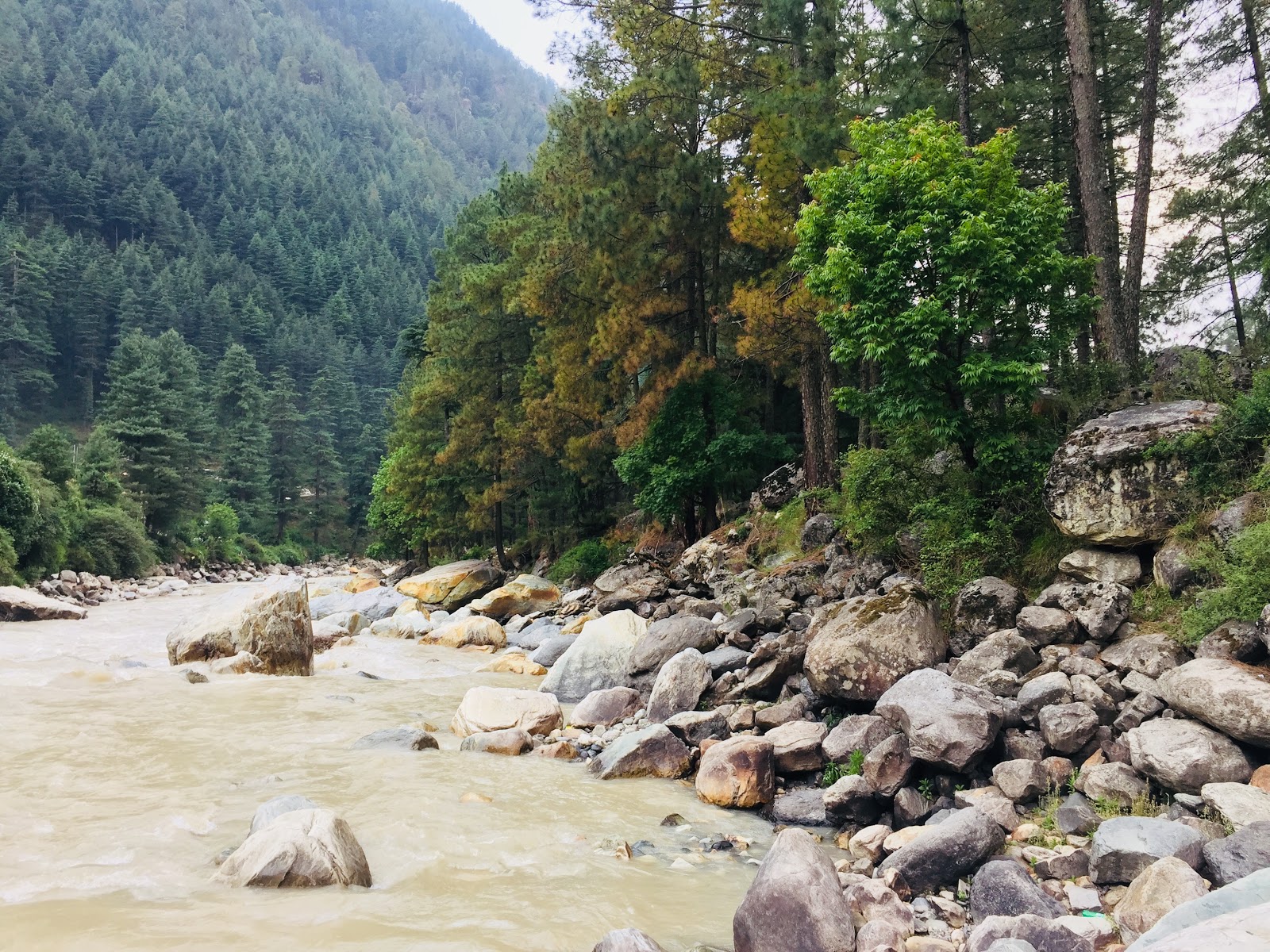 Top places to visit in Kasol (2025) | Kasol - Himachal Pradesh Tourism ...