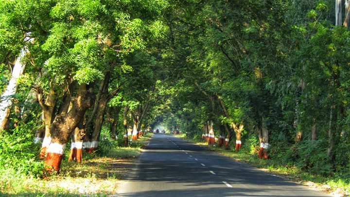 Top places to visit in Navsari (2024) | Navsari - Gujarat Tourism ...